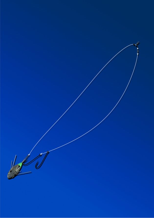 Anyfish Anywhere Pulley Pennel Rig