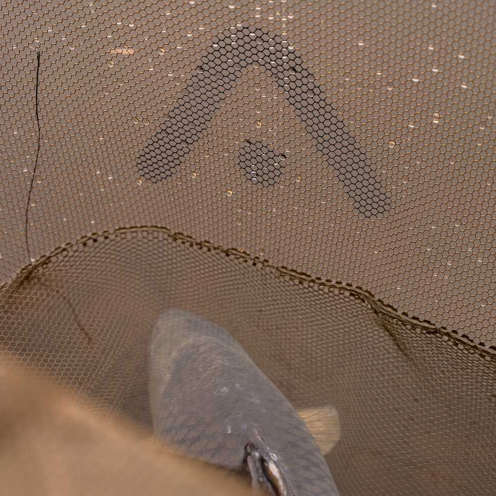Avid PRO-Tect Landing Net | Carp Fishing Nets | Angling Direct