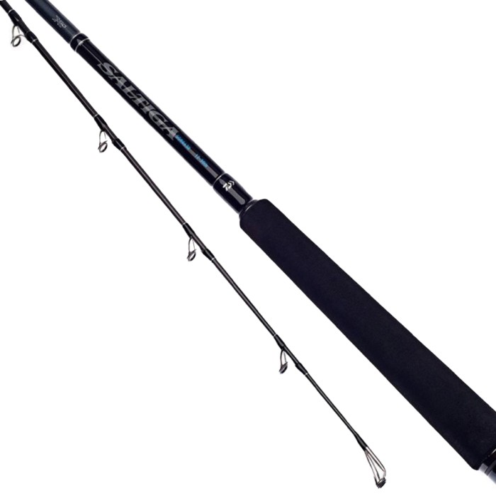 Daiwa Saltiga Boat Rod