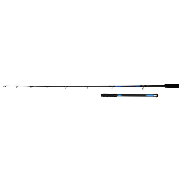Shakespeare Sigma Boat Rod