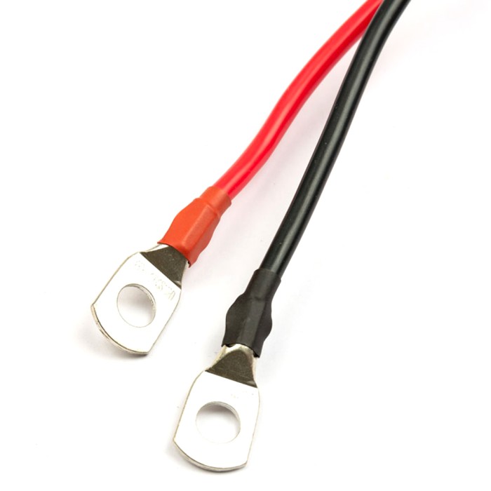 Fox 80lb 12V BL Engine