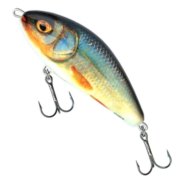 Salmo Fatso Floating Lure - Real Roach