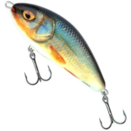 Salmo Fatso Floating Lure - Real Roach