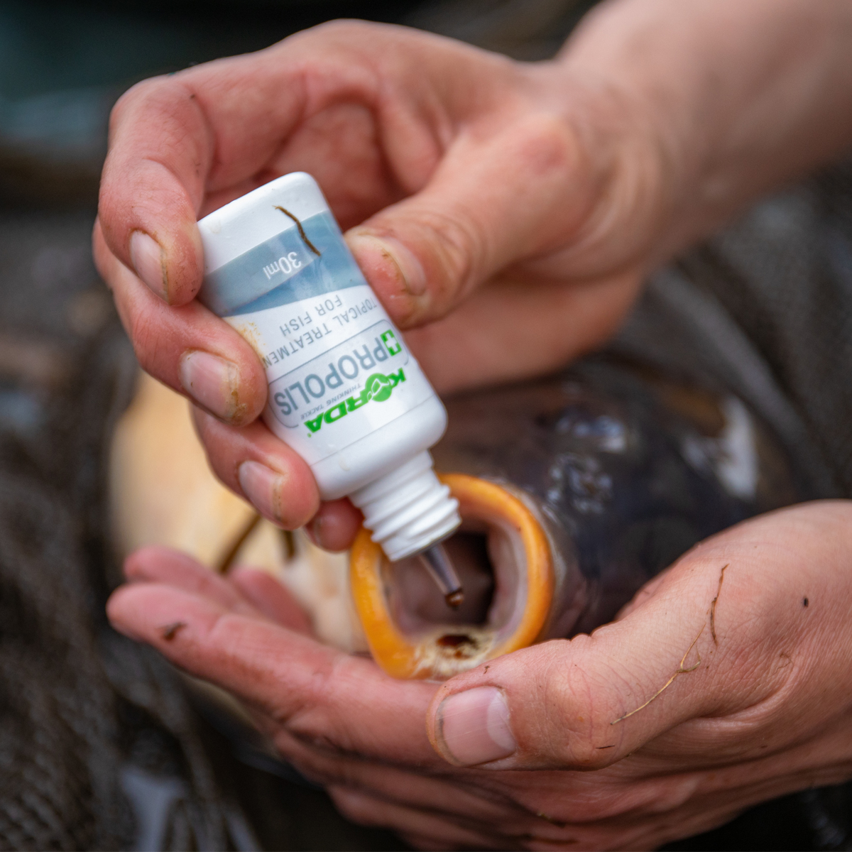 Korda Carp Care Kit 2020: Ultimate Fish Health Solution