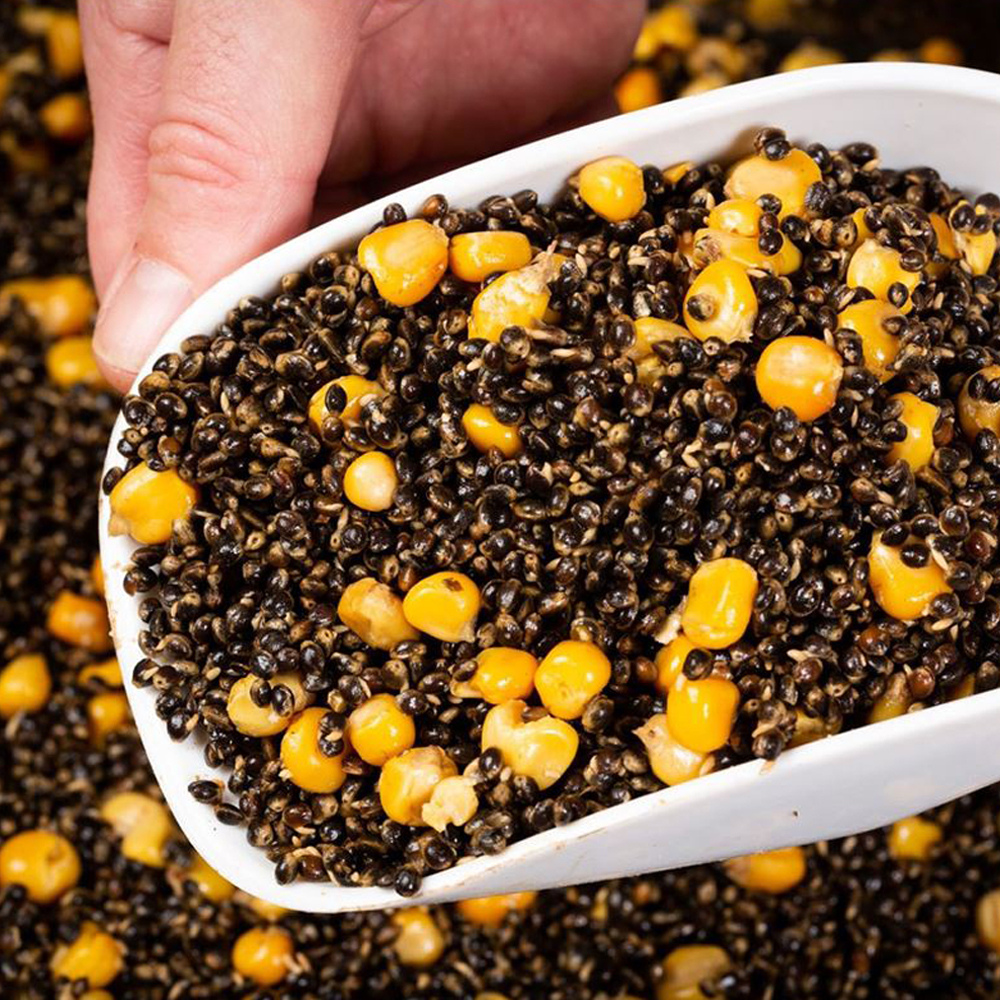 Mainline Power Plus Fishing Particles Hemp N Maize