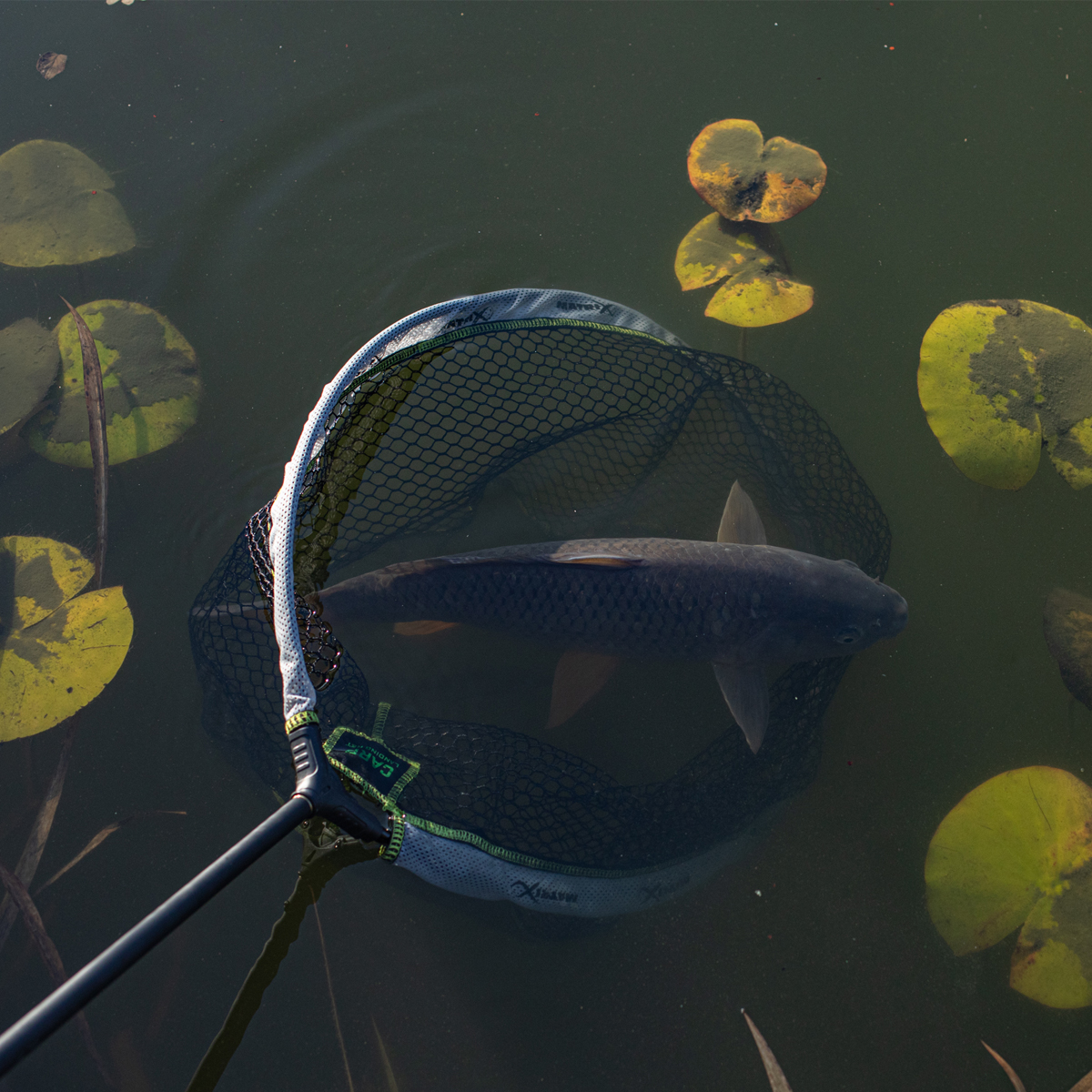 Matrix Carp Landing Net