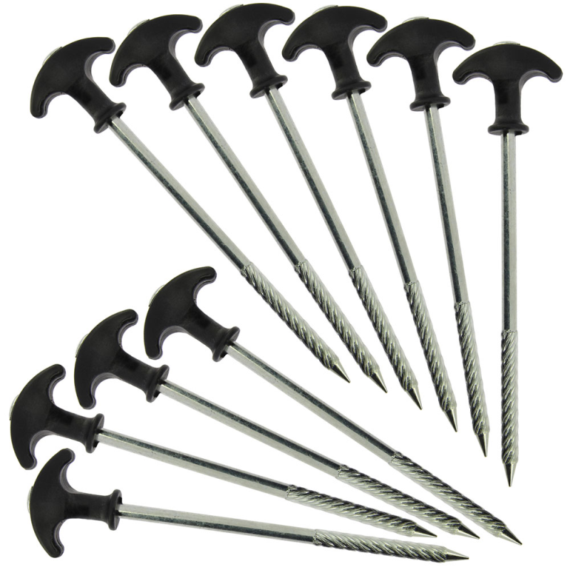 NGT Bivvy Pegs in Case