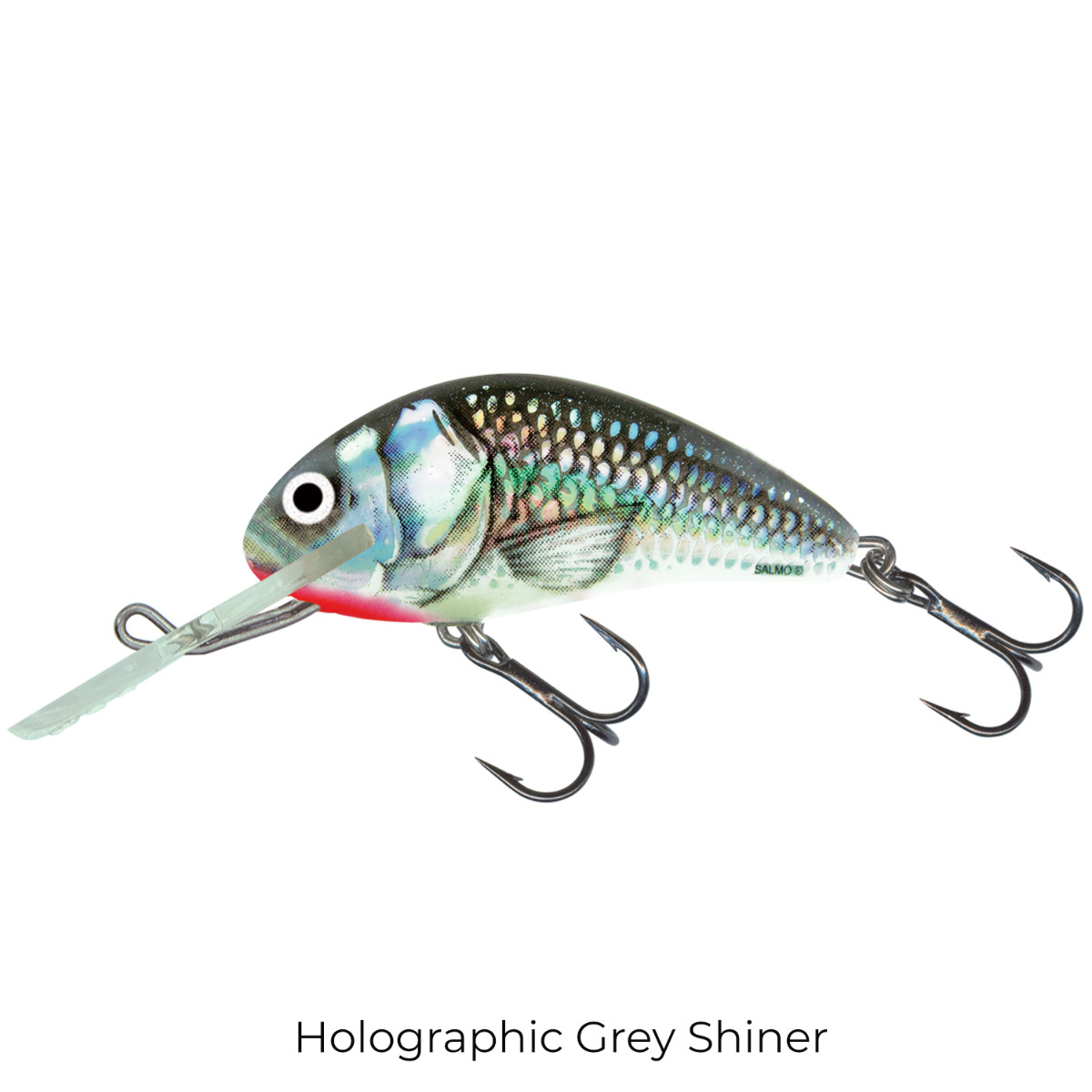 Salmo Hornet 5cm Floating Lure