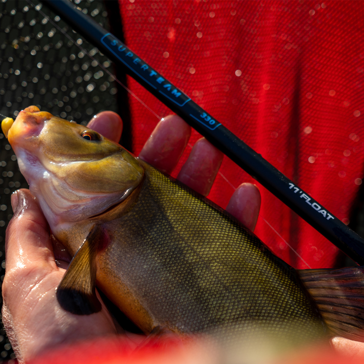 Shakespeare Superteam Float Fishing Rod