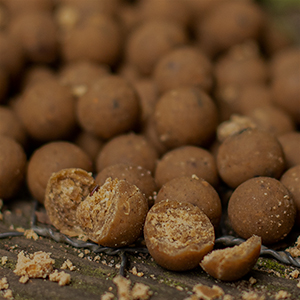 Fishing Tackle | Rods, Reels, Bait, Bivvies | Angling Direct