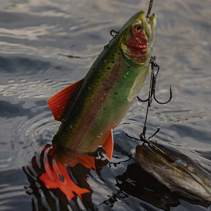 Fishing Tackle | Rods, Reels, Line, Hooks, Bait | Angling Direct