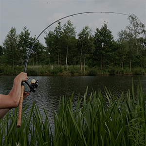 Fishing Tackle | Rods, Reels, Bait, Bivvies | Angling Direct