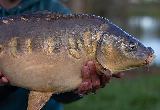 Fishing Tackle | Rods, Reels, Bait, Bivvies | Angling Direct