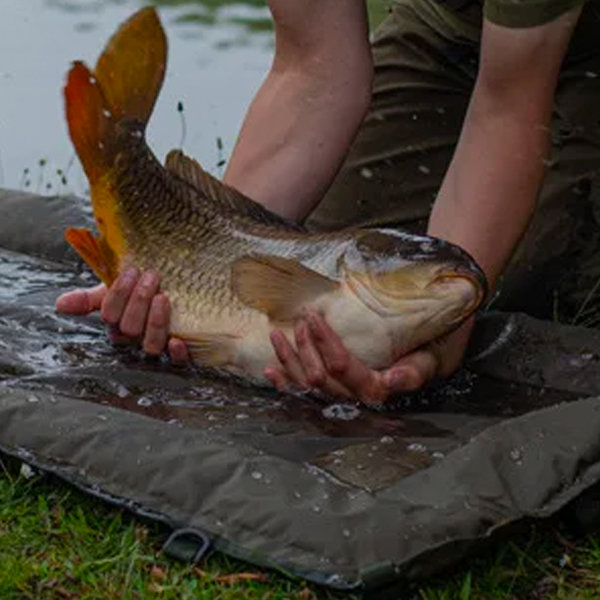 Fishing Tackle | Rods, Reels, Bait, Bivvies | Angling Direct